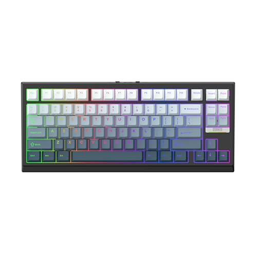 7 Best Hall Effect Keyboards in 2026: For Gaming, Working, & More