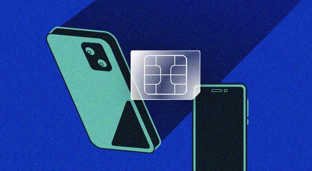 How to spot a SIM swap hack | Cybernews