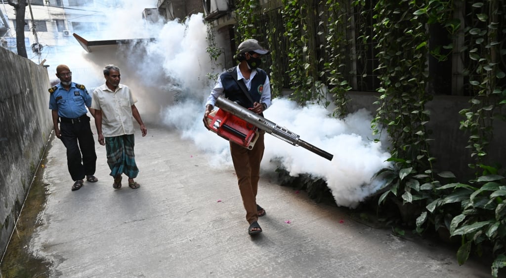 Google to release 64M mosquitoes in US | Cybernews