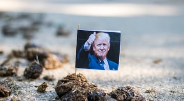 President Trump turns into “President Dump” in new DIY protest | Cybernews