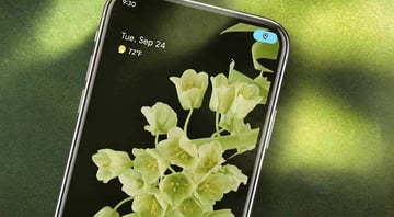 Android blue privacy indication meaning | Cybernews