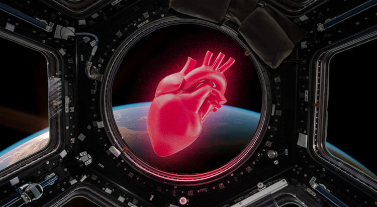 Scientists sent a human heart to space, but it came back broken | Cybernews
