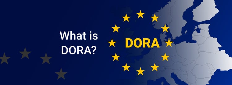 DORA Compliance Guide: Essential for EU Financial Sector CEOs