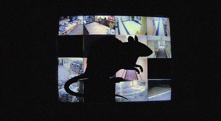RATs can sniff out your Chinese-made web cameras: here’s how to defend ...