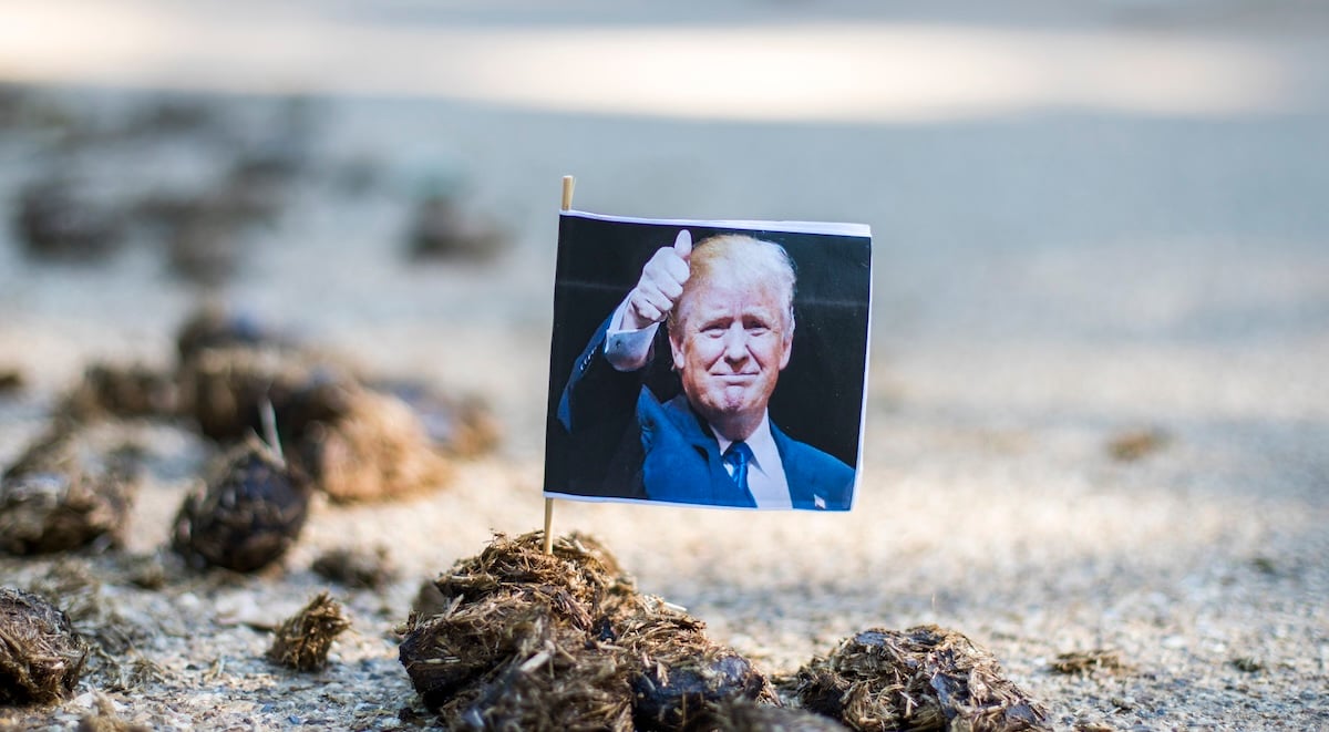 President Trump turns into “President Dump” in new DIY protest | Cybernews